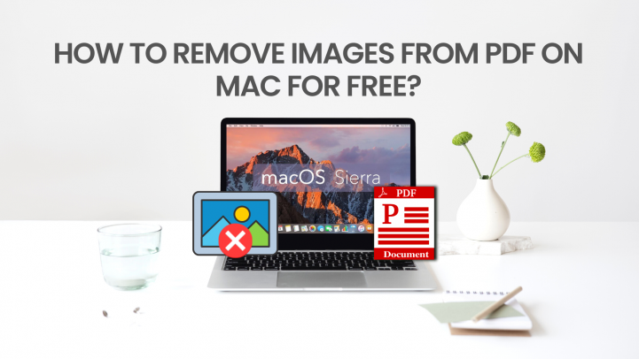 Extract Images Free of PDF - WPS PDF Blog