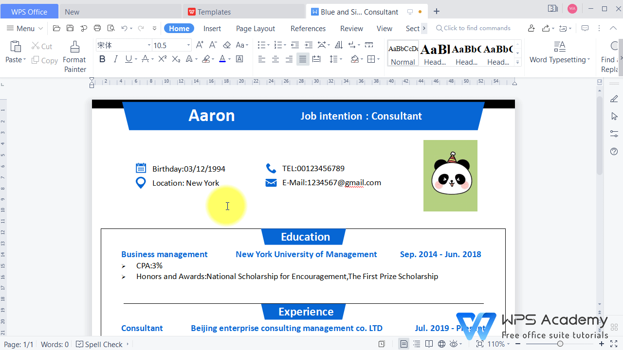 How To Make A Professional Resume For Job Online For Free WPS Office How To Make A Professional Resume For Job Online For Free WPS Office
