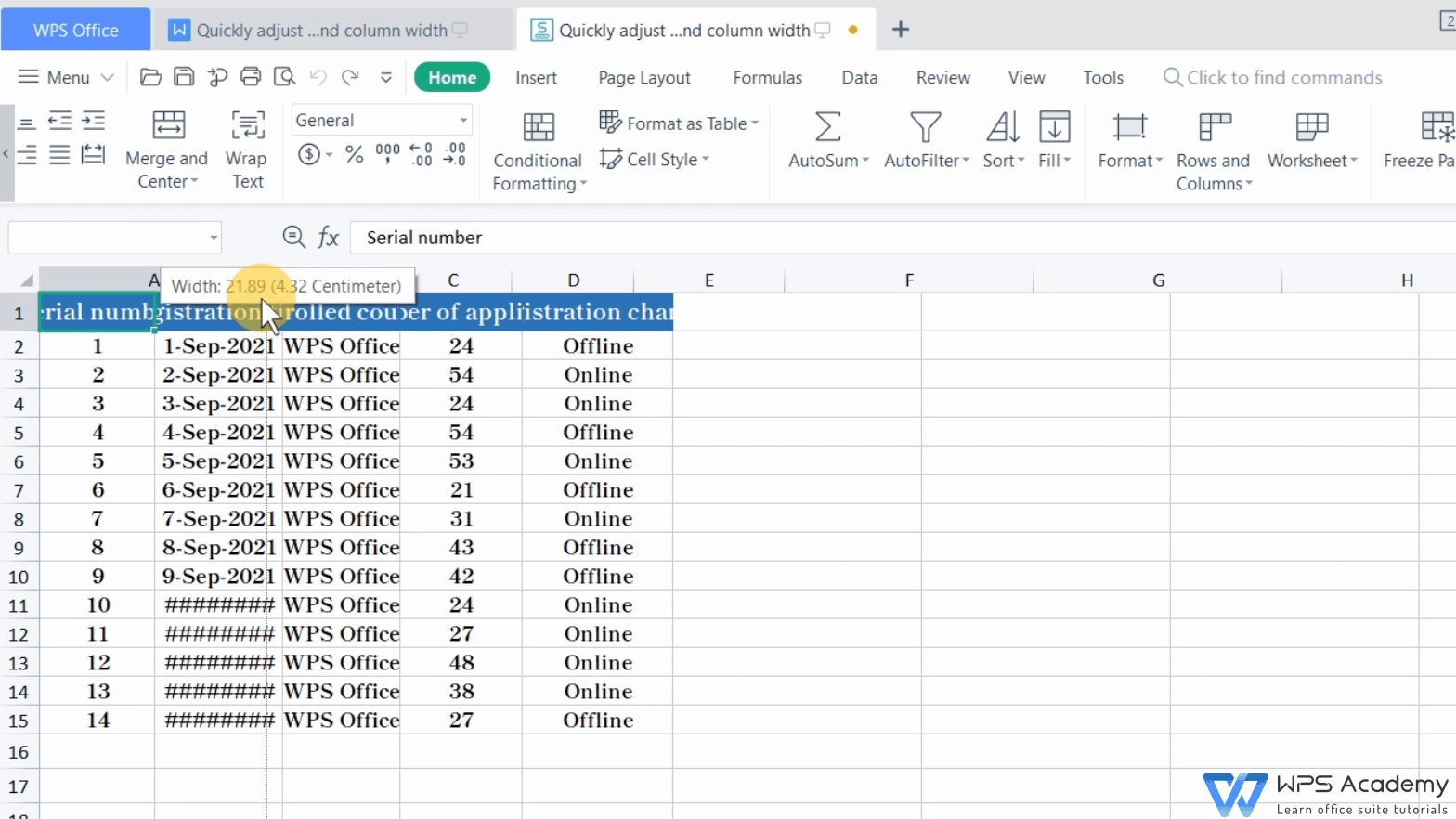 Quickly adjust the row height and column width | WPS Office Academy