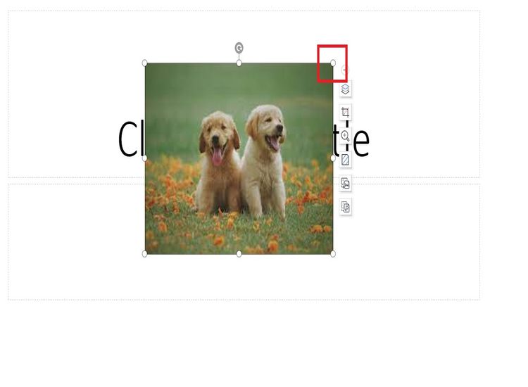 How to change slide size of your slides in powerpoint (Step-by-Step ...