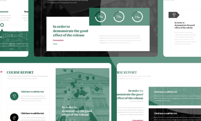 Capstone Project Presentation Example