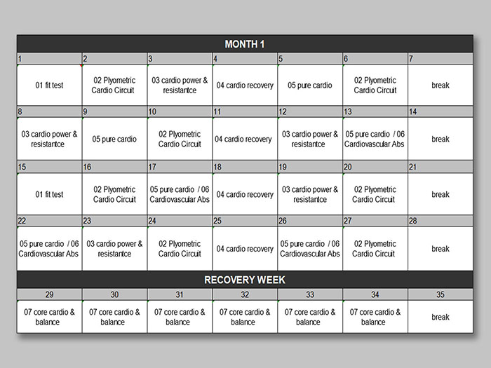 Insanity Fit Test Printable