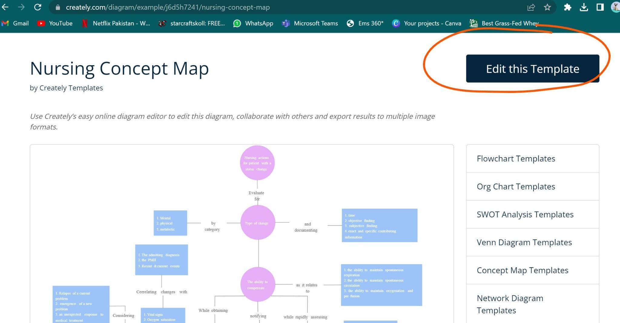 Concept Map Template Free Premium Templates