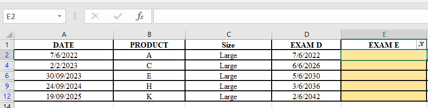 How to Use Filter Function in Excel Easy & Fast