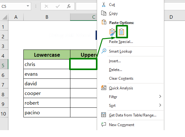 How to Change Lowercase to Uppercase in Excel Without Formula(Step-by-Step)