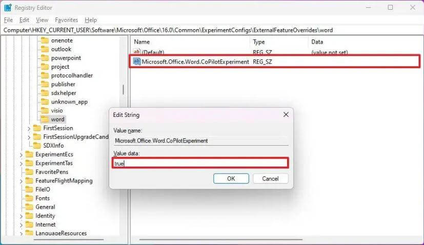 The Ultimate CoPilot Guide: Enabling Microsoft CoPilot in a Comprehensive Manner - FileCatchers