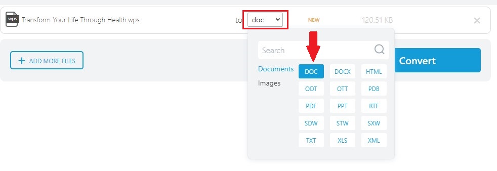 Word to WPS: 5 Best Free Converters