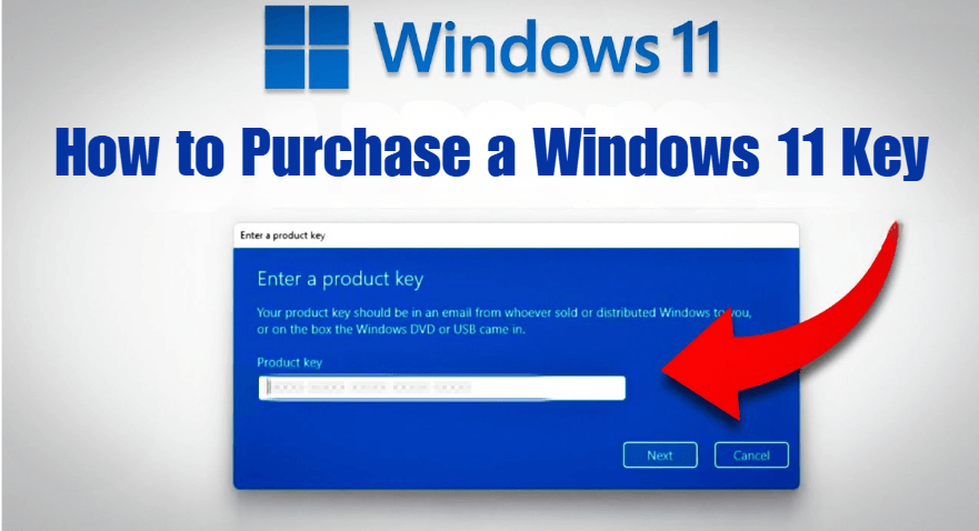  Windows 11 