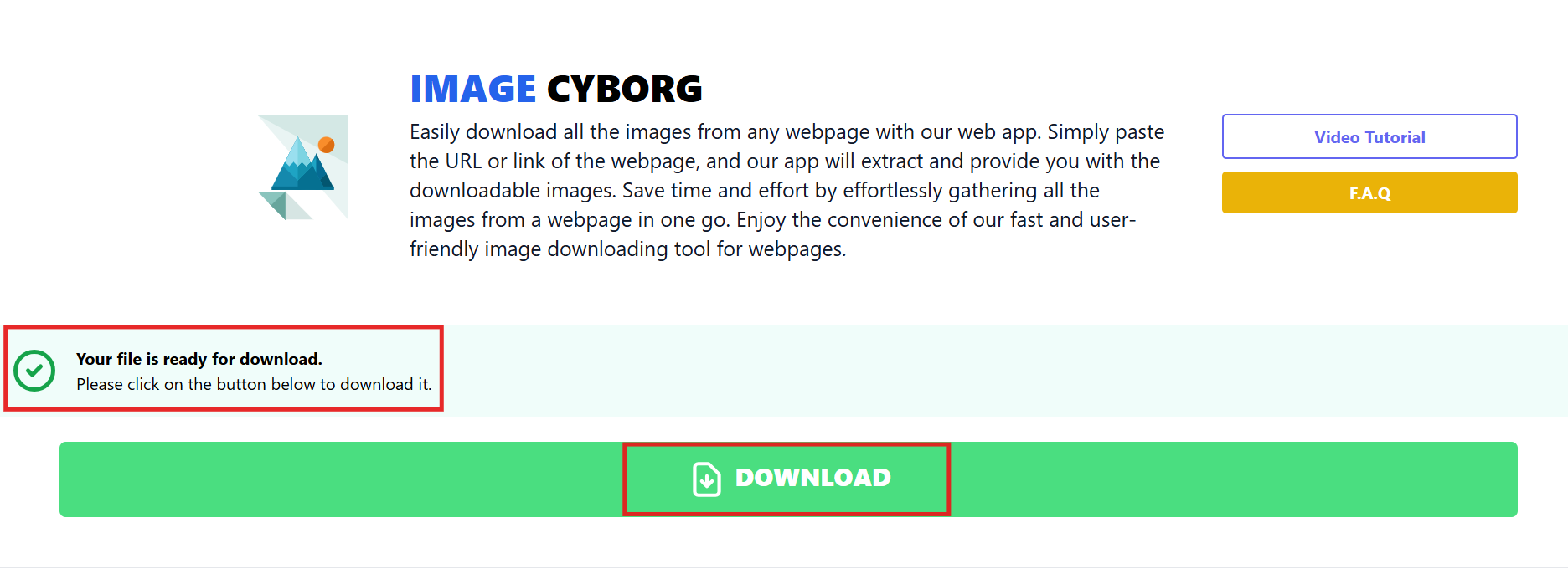 Download All Images From Website